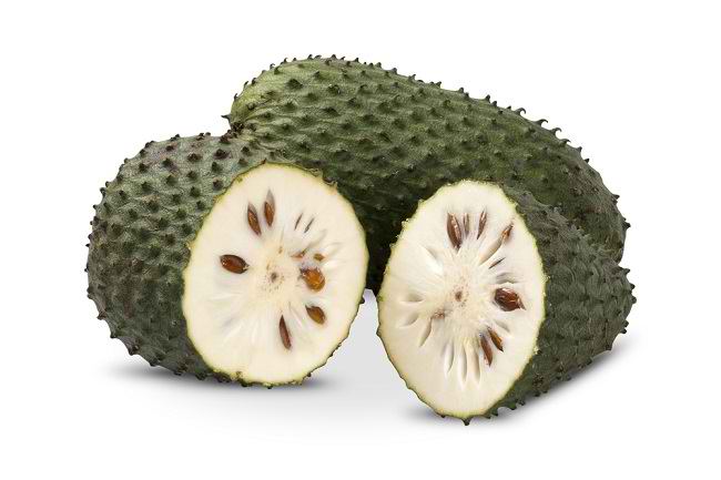 Produk - Javaplant Synergizing Nature